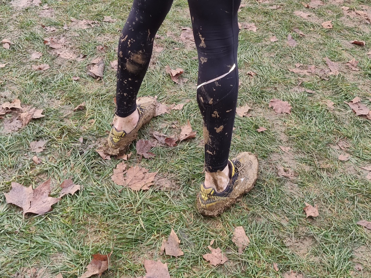 Ausflug zur DM Cross in Perl – Laufsportfreunde Münster e.V.